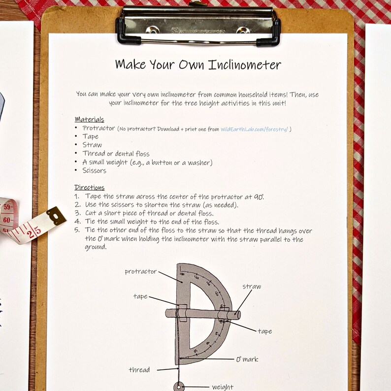 Trees And Trigonometry Calculate Tree Height Using Math Angles Lesson Plan Homeschool Math