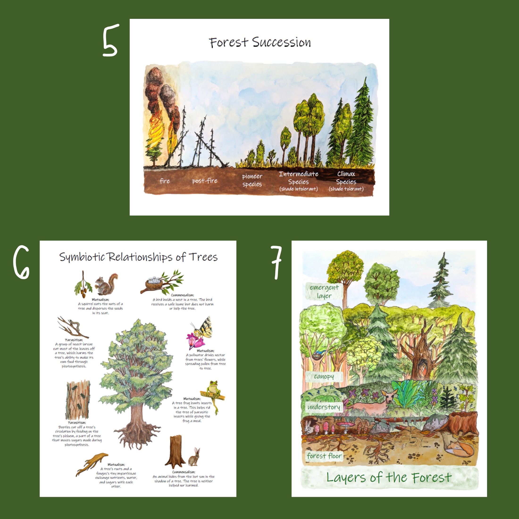 Forest School Prints Bundle: 13 Printable Classroom Posters - Etsy