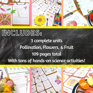 Botany Collection: Study Plants, Pollination, and More! Plant Unit ...