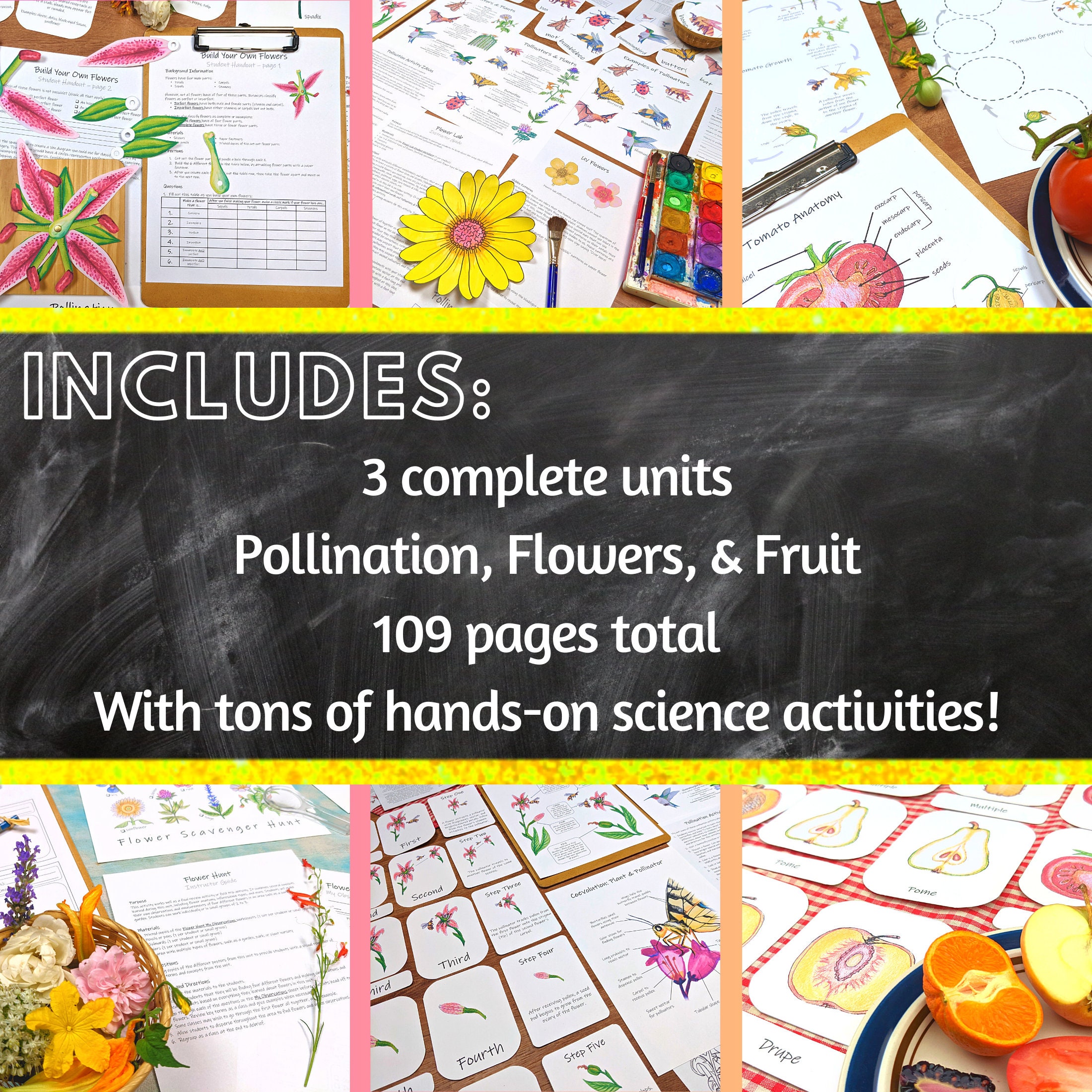 Botany Collection: 3 Plant Biology Homeschool Units (PDF Download) - Etsy