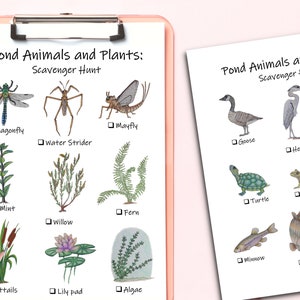 Pond Scavenger Hunt: Printable Game for Kids Wetland Field - Etsy Canada
