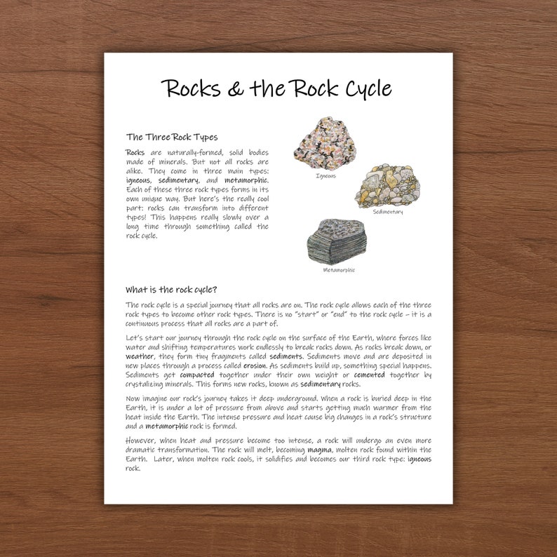 Rock Cycle Diagram: Labeled & Unlabeled, Homeschool Science (PDF ...