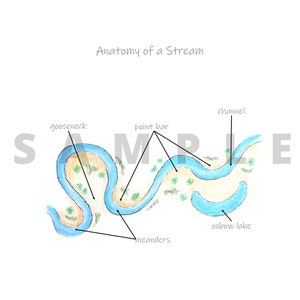 River Anatomy Map: Science Diagram Parts of a River - Etsy