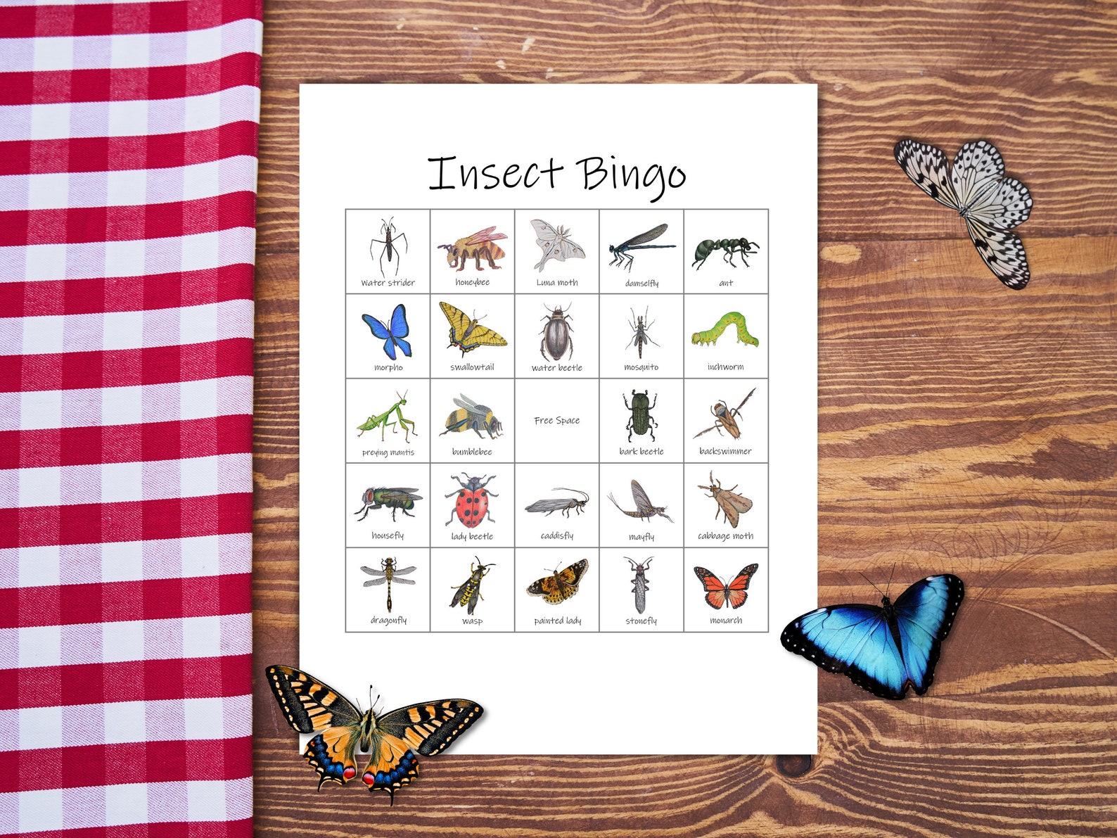 Insect Bingo Game: 20 Unique Cards, Bug-themed Party (PDF) - Etsy