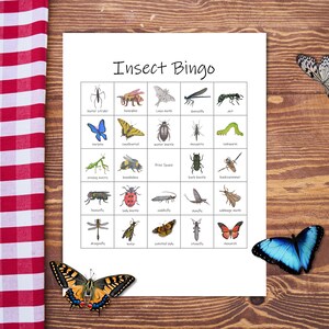 Insect Bingo Set: 20 Unique Cards With Calling Cards, Printable Game ...