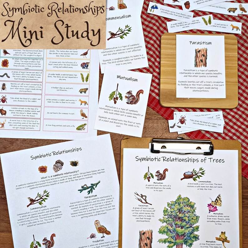 Symbiotic Relationships Mini Study: Forest Ecosystem Lesson - Etsy