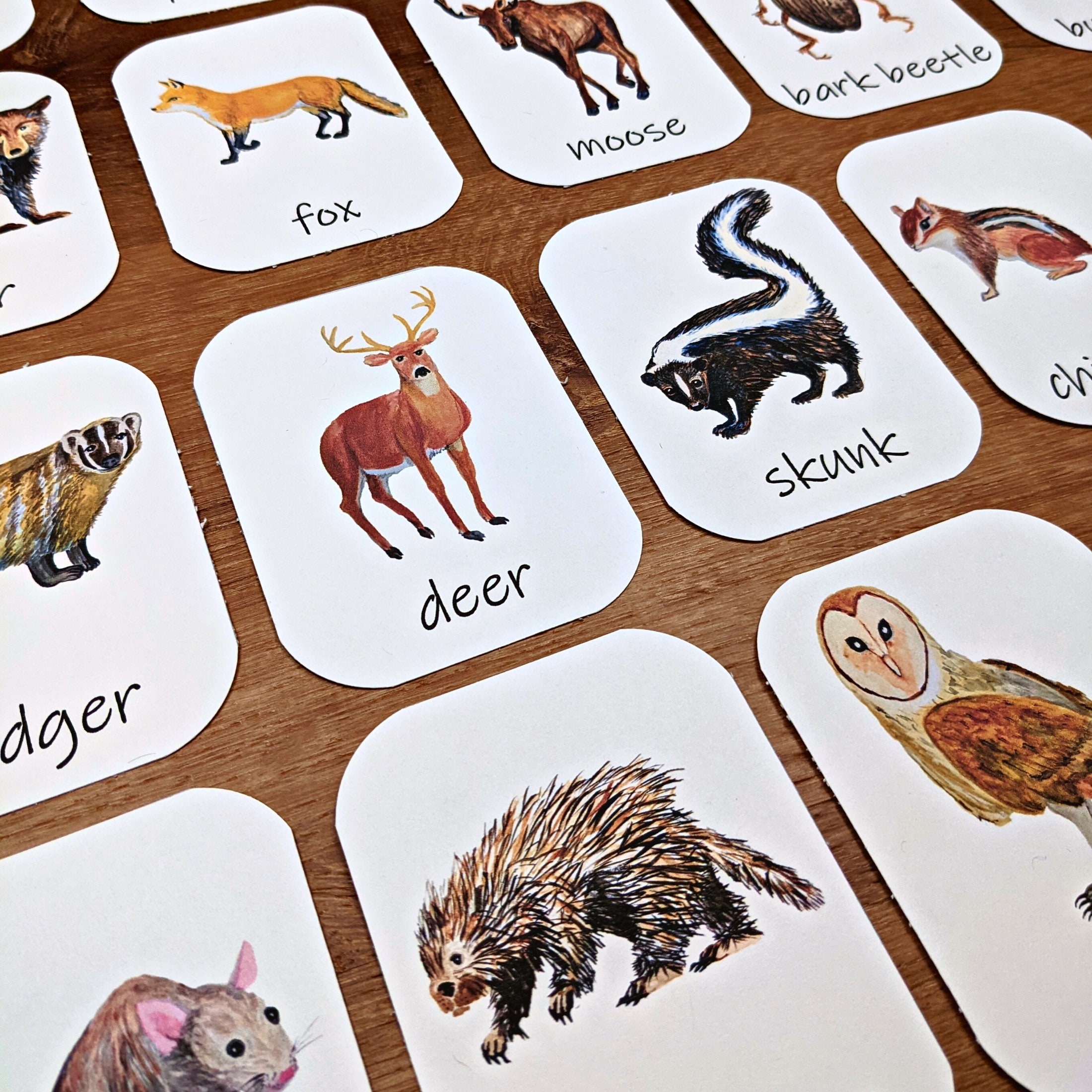 Forest Ecosystem: a Mini Nature Study Forest School, Nature Preschool ...