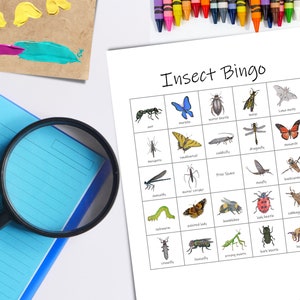 Insect Bingo Set: 20 Unique Cards With Calling Cards, Printable Game ...