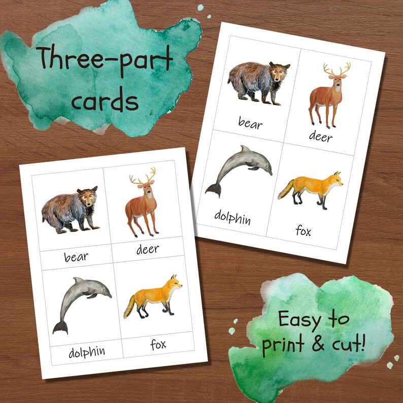 Mammals Flashcards: Watercolor Montessori Three-part Cards (PDF ...