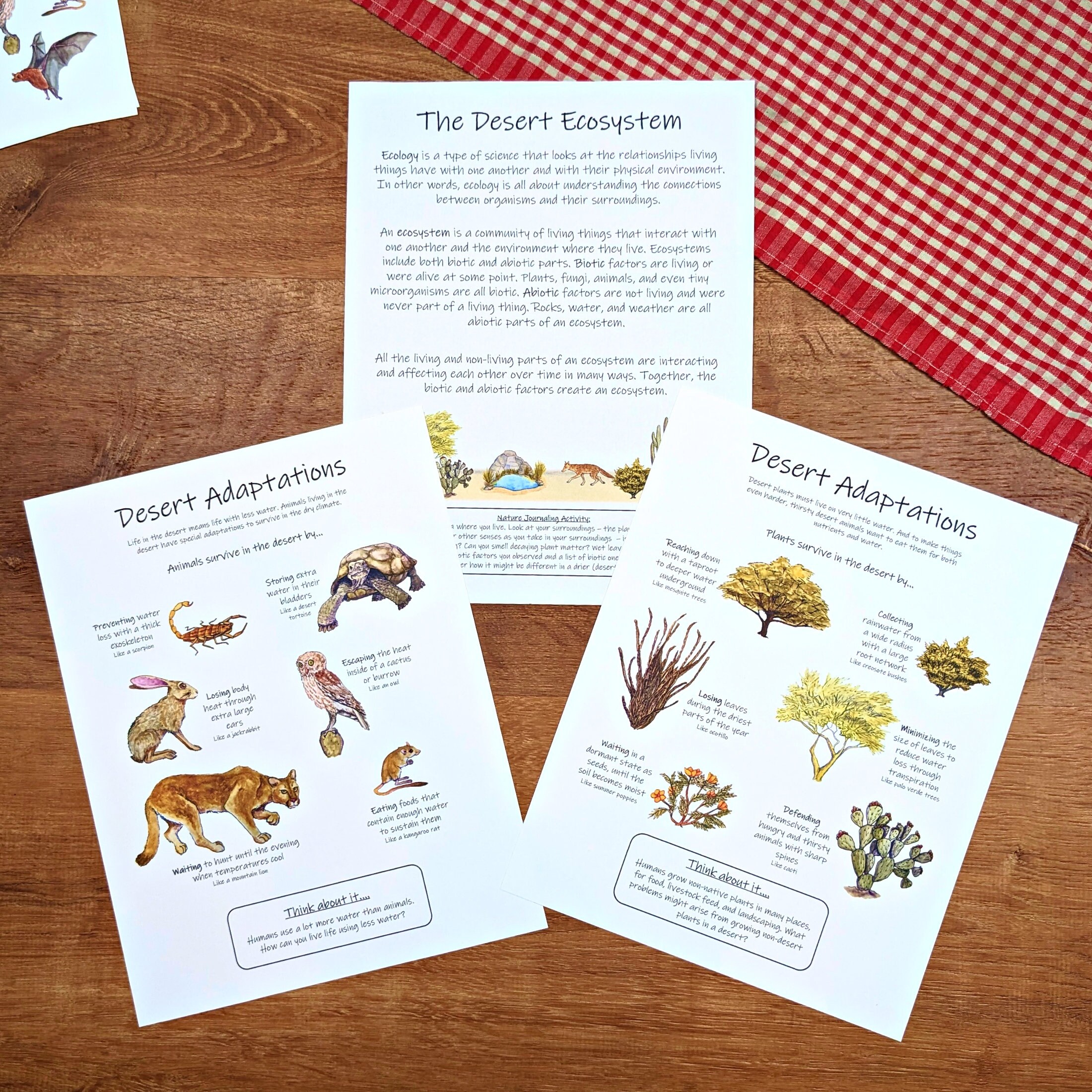 Desert Ecosystem Lesson: Plant & Animal Adaptations, Homeschool Science ...