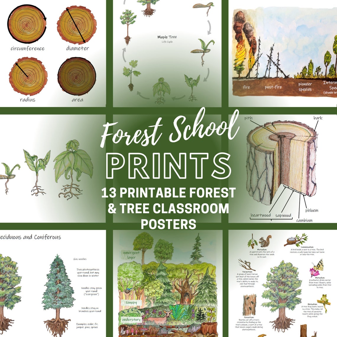 Forest School Prints Bundle: 13 Printable Classroom Posters for Nature ...