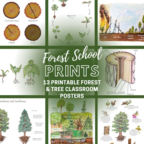 Forest School Prints Bundle: 13 Printable Classroom Posters - Etsy