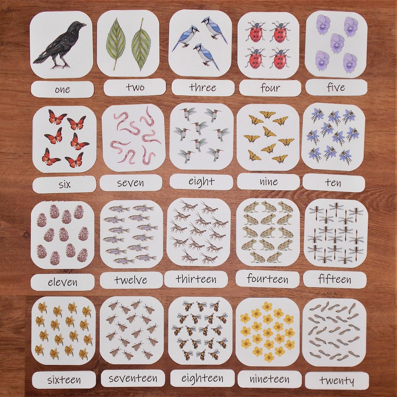 Nature Counting Flashcards: Three-part Cards of Numbers 1-20 Activity ...
