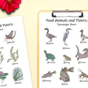 Pond Scavenger Hunt: Printable Game for Kids Wetland Field - Etsy Canada