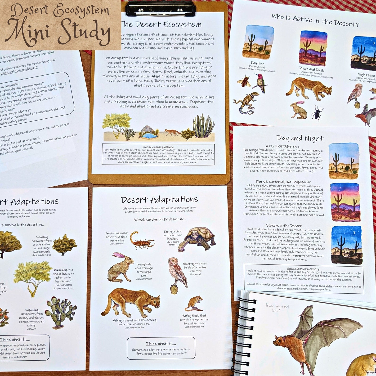 Desert Ecosystem Lesson: Plant & Animal Adaptations, Homeschool Science ...