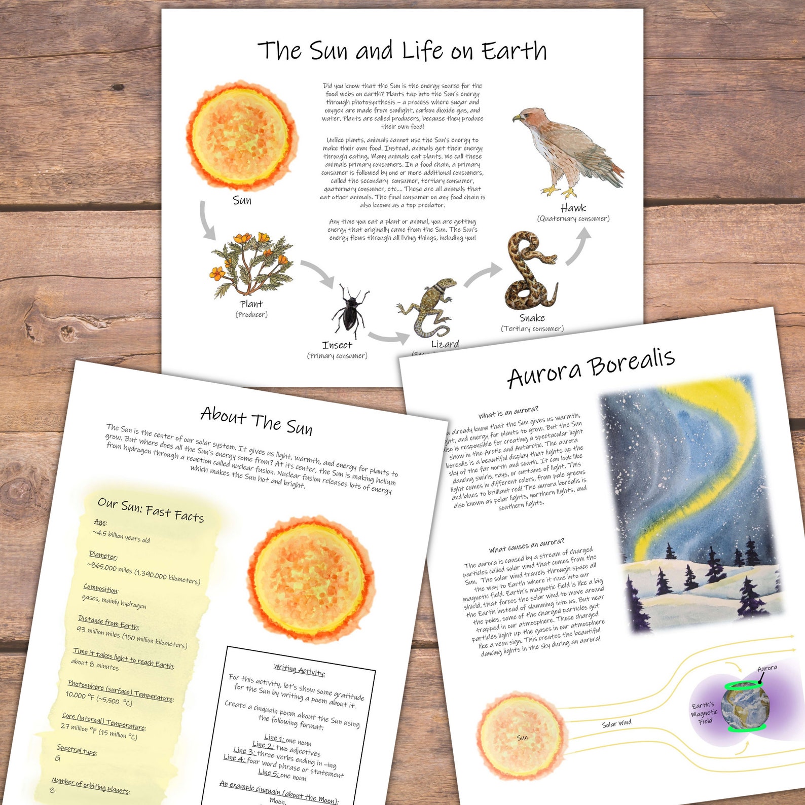 Sun Mini Study: Homeschool Science Lesson (PDF Download) - Etsy