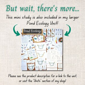 Pond Plants & Animals Scavenger Hunt: Printable Nature Study Activity ...