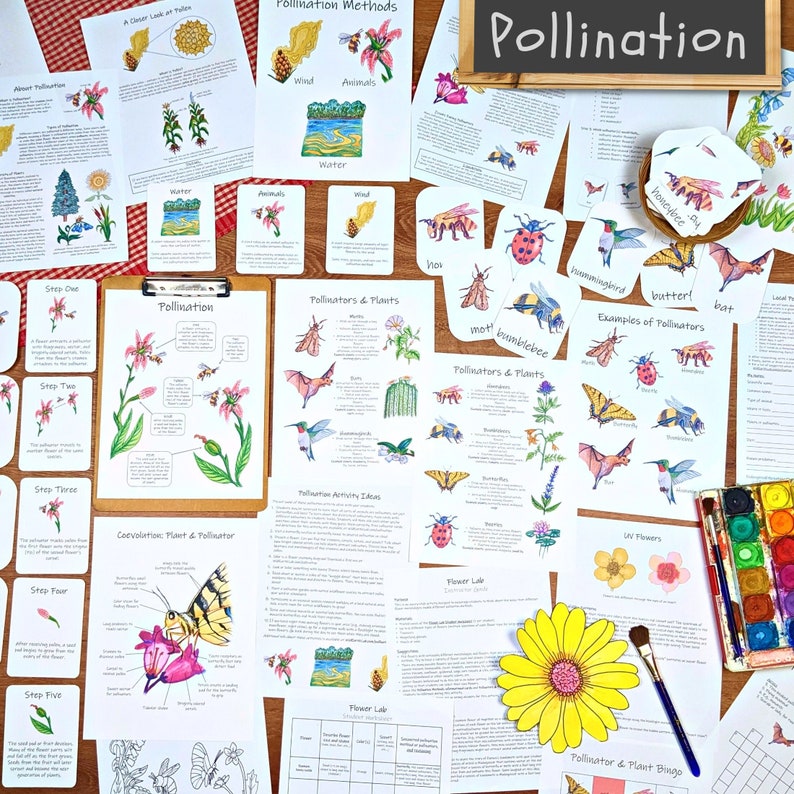 Pollination Unit: Activities Lesson Plan and Classroom - Etsy
