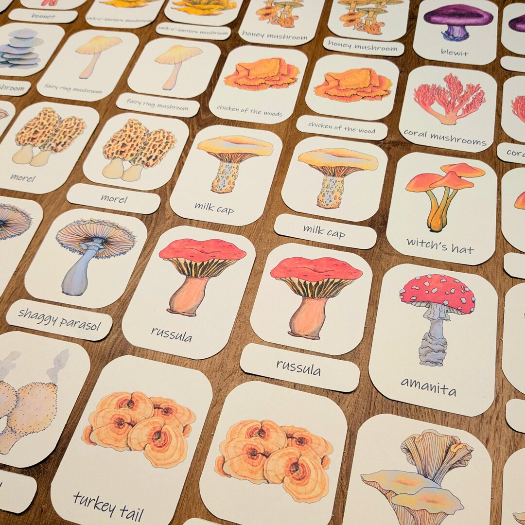 Mushroom Watercolor Flashcards: Montessori Homeschool Nature Study (PDF ...
