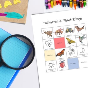Pollinator and Plant Bingo: Set of 20 Unique Bingo Cards With Calling ...