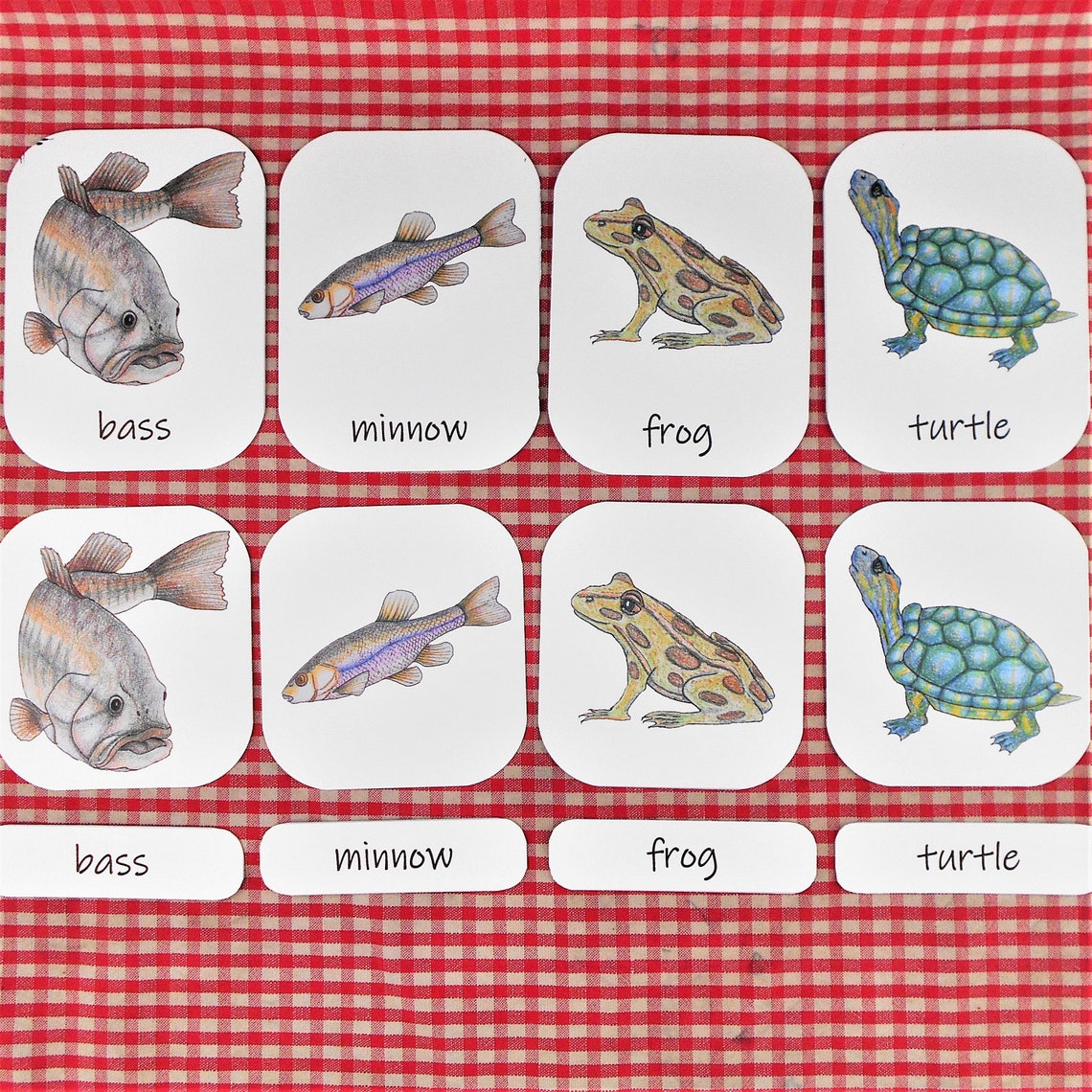 Pond Animals and Plants: 3-part Montessori Flash Cards - Etsy