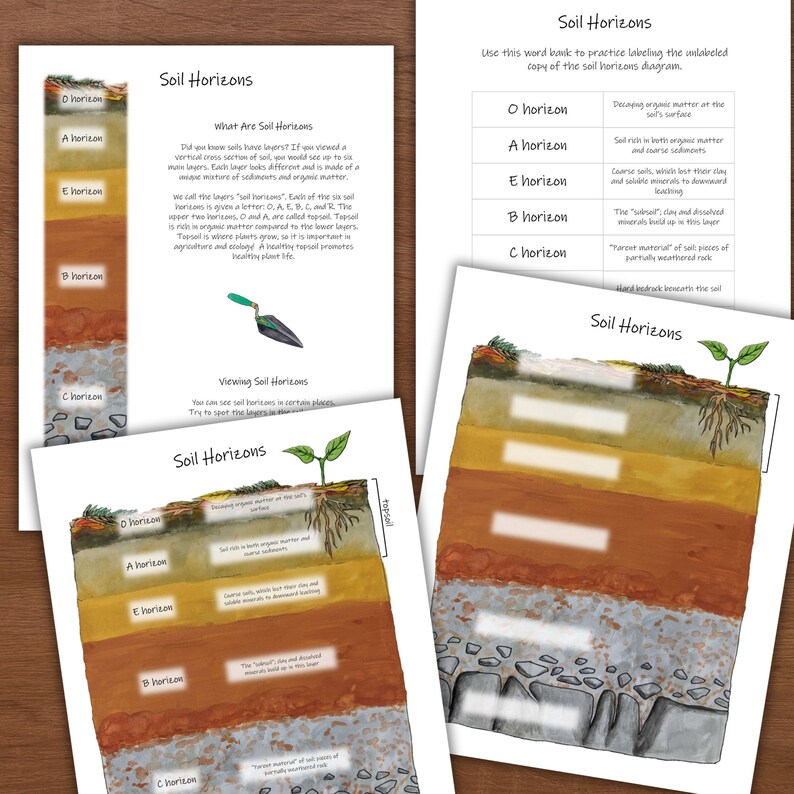 Soil Horizons Mini Study: Labeled & Unlabeled Diagrams, Science ...