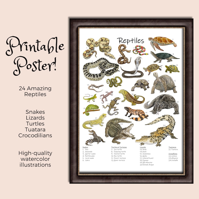 Reptiles Classroom Poster: Watercolor Print, Homeschool Decor, Biology ...