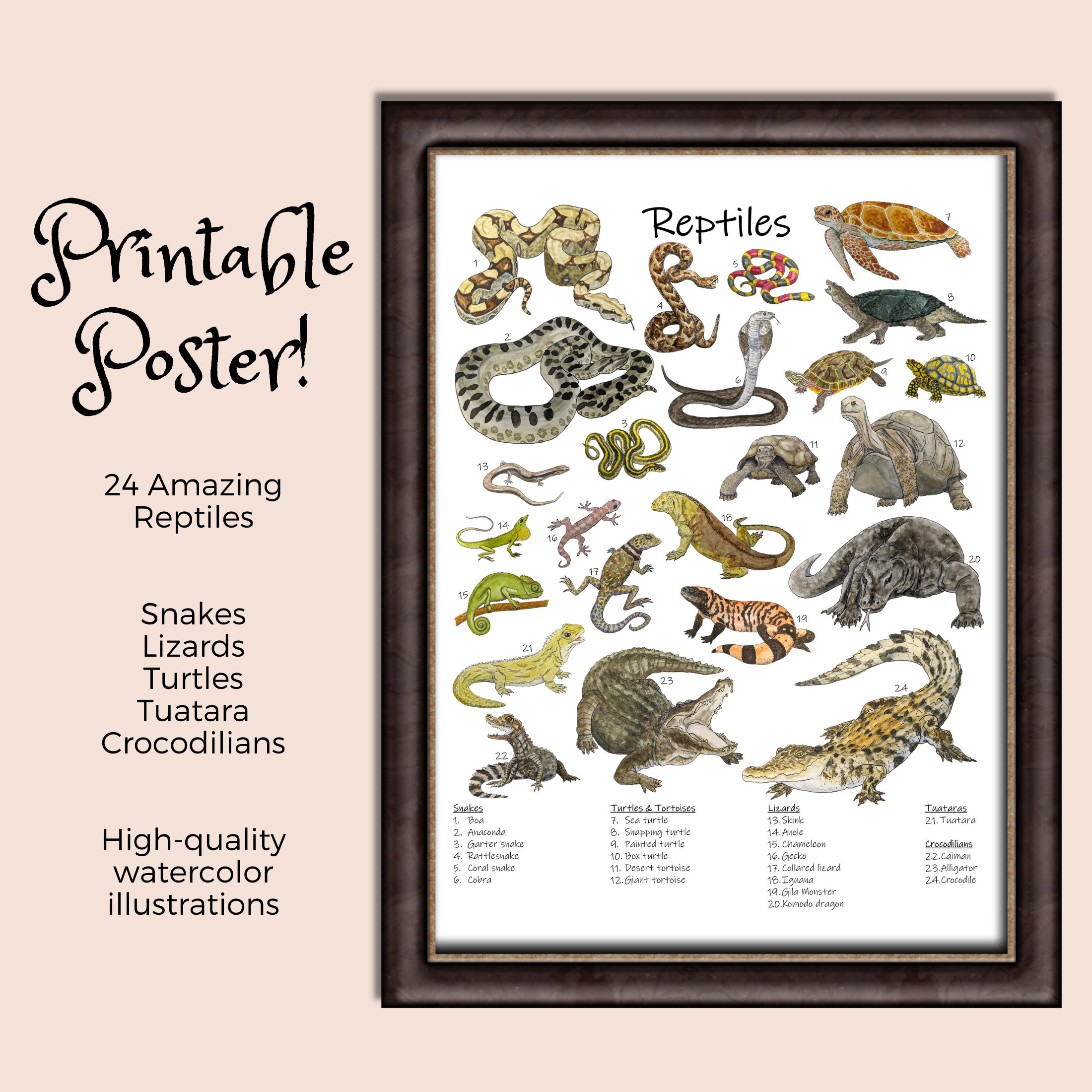 Reptiles Classroom Poster: Watercolor Print, Homeschool Decor, Biology ...