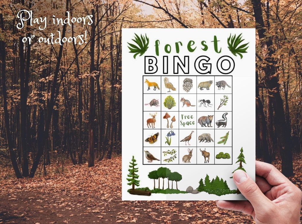 Forest Bingo: Printable Game for Camping, Forest School, Woodland ...