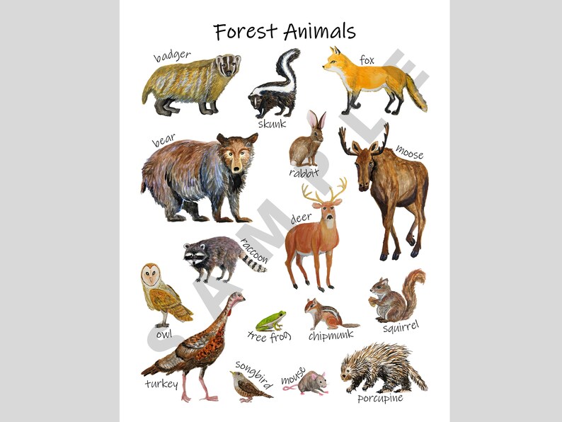 Woodland Posters Set: Two Printable Posters With Forest Animals, Plants ...