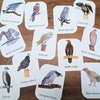 Landforms Three-part Cards: Montessori-style Flashcards, Homeschool ...