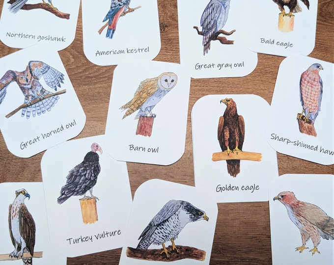 Landforms Three-part Cards: Montessori-style Flashcards, Homeschool ...