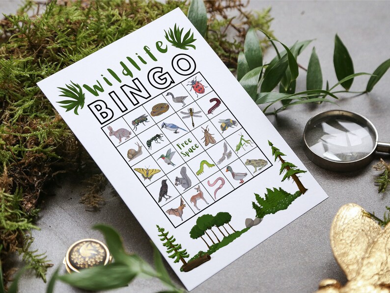 Wildlife Bingo: Printable Game for Kids, Family Road Trips, Class ...
