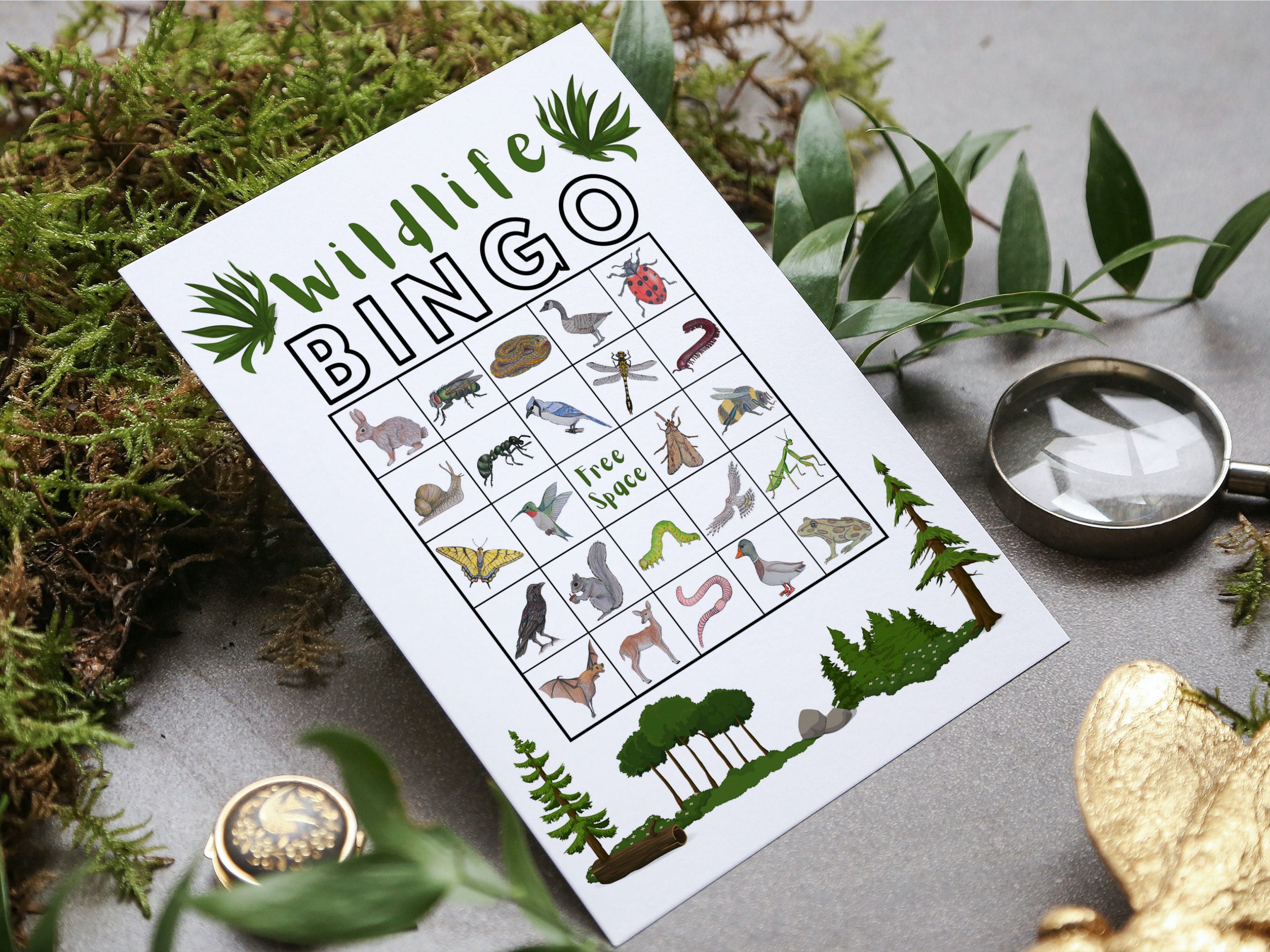 Wildlife Bingo: Printable Game for Kids, Family Road Trips, Class ...