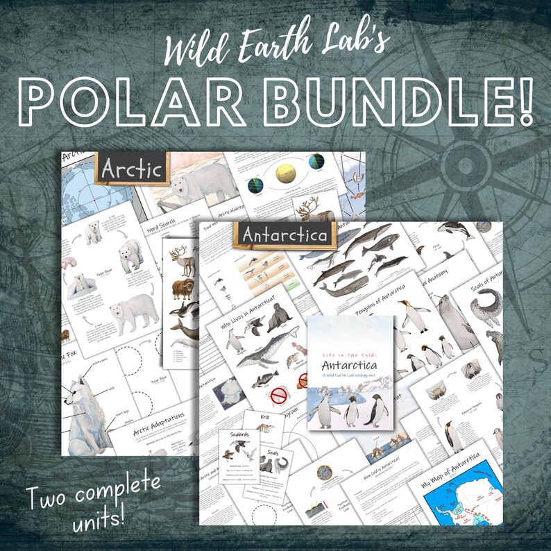 Arctic & Antarctica Polar Science Unit Bundle: Homeschool Printable ...