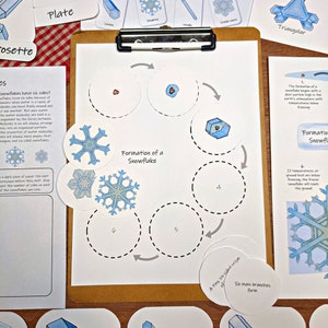 Snowflake Mini Unit Study: Formation & Types, Kids Activities (PDF) - Etsy