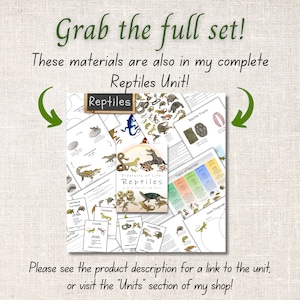 Amphibian Vs Reptile: Venn Diagram Activity for Compare & Contrast ...