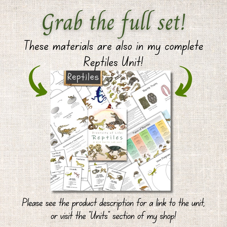 Reptile Mini Study: Biology Lesson Plan (PDF Download) - Etsy
