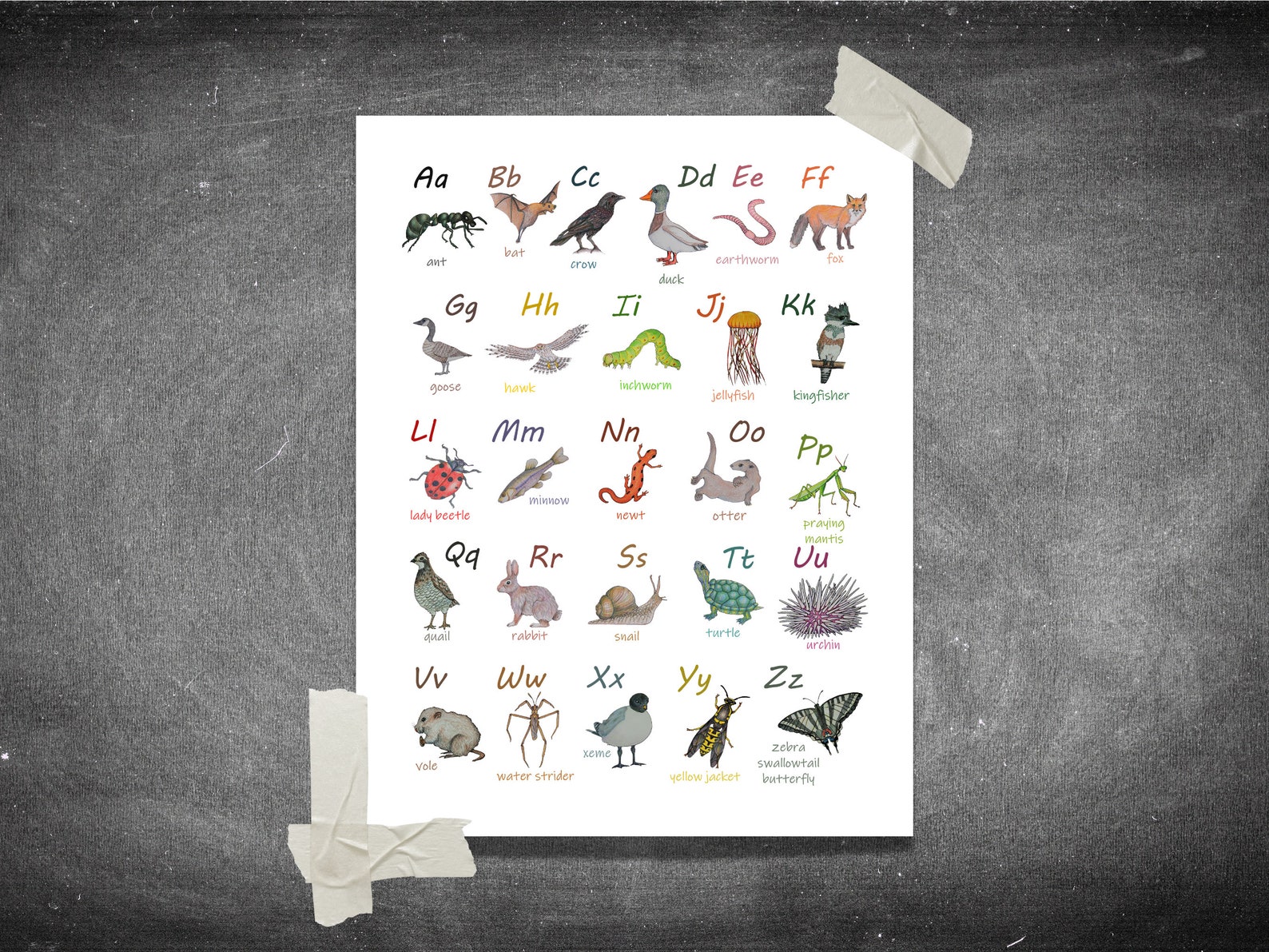 Wildlife Classroom Alphabet Poster: Nursery Decor, Alphabet Animal ...