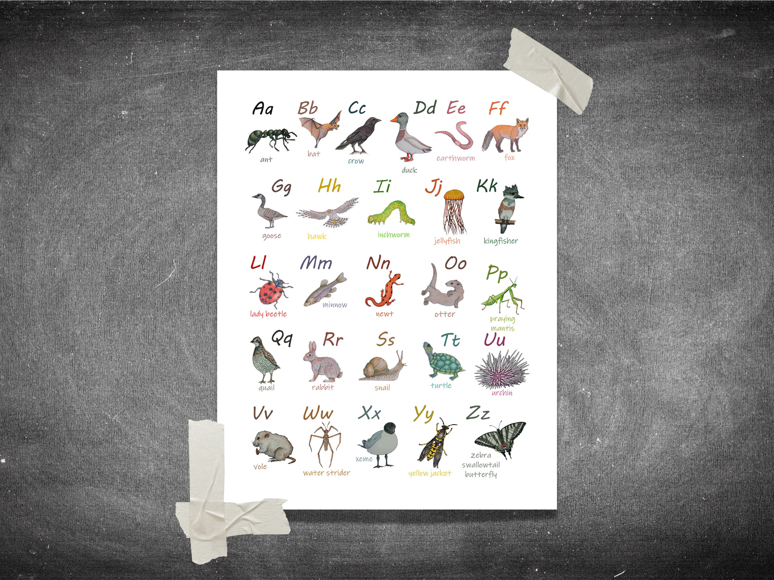 Wildlife Classroom Alphabet Poster: Nursery Decor, Alphabet Animal ...
