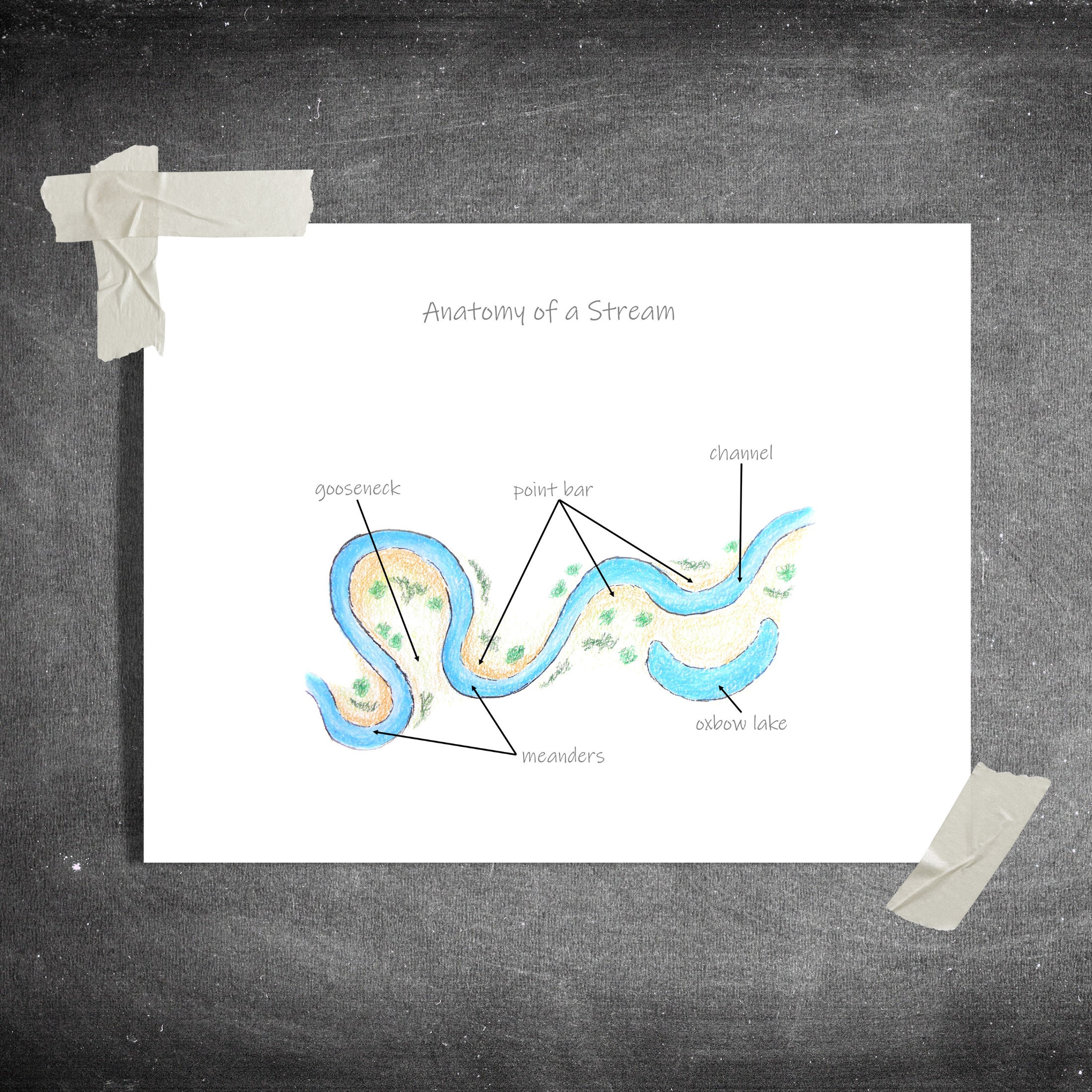 Stream & River Mini Study: Anatomy Diagrams With Student - Etsy Canada
