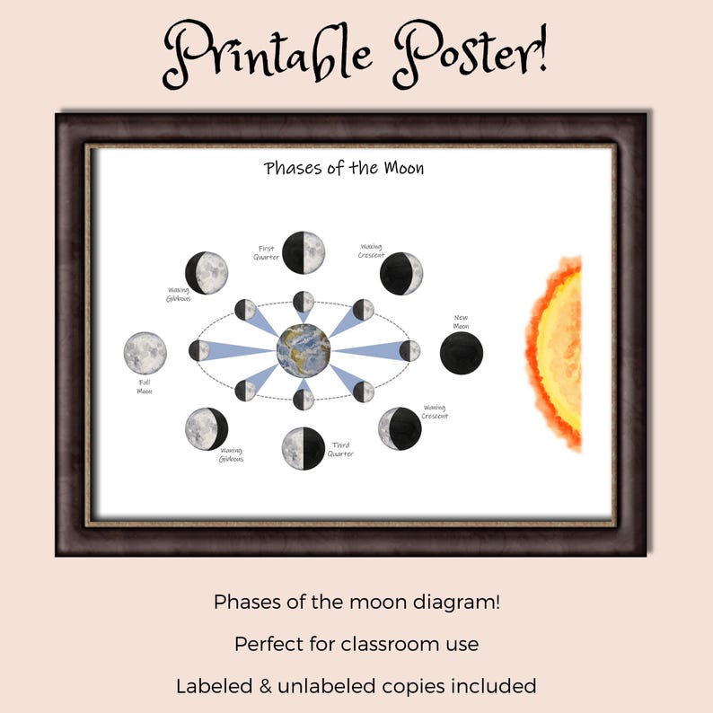 Lunar Phases Poster: Printable Moon Diagram for Classroom (PDF) - Etsy Australia