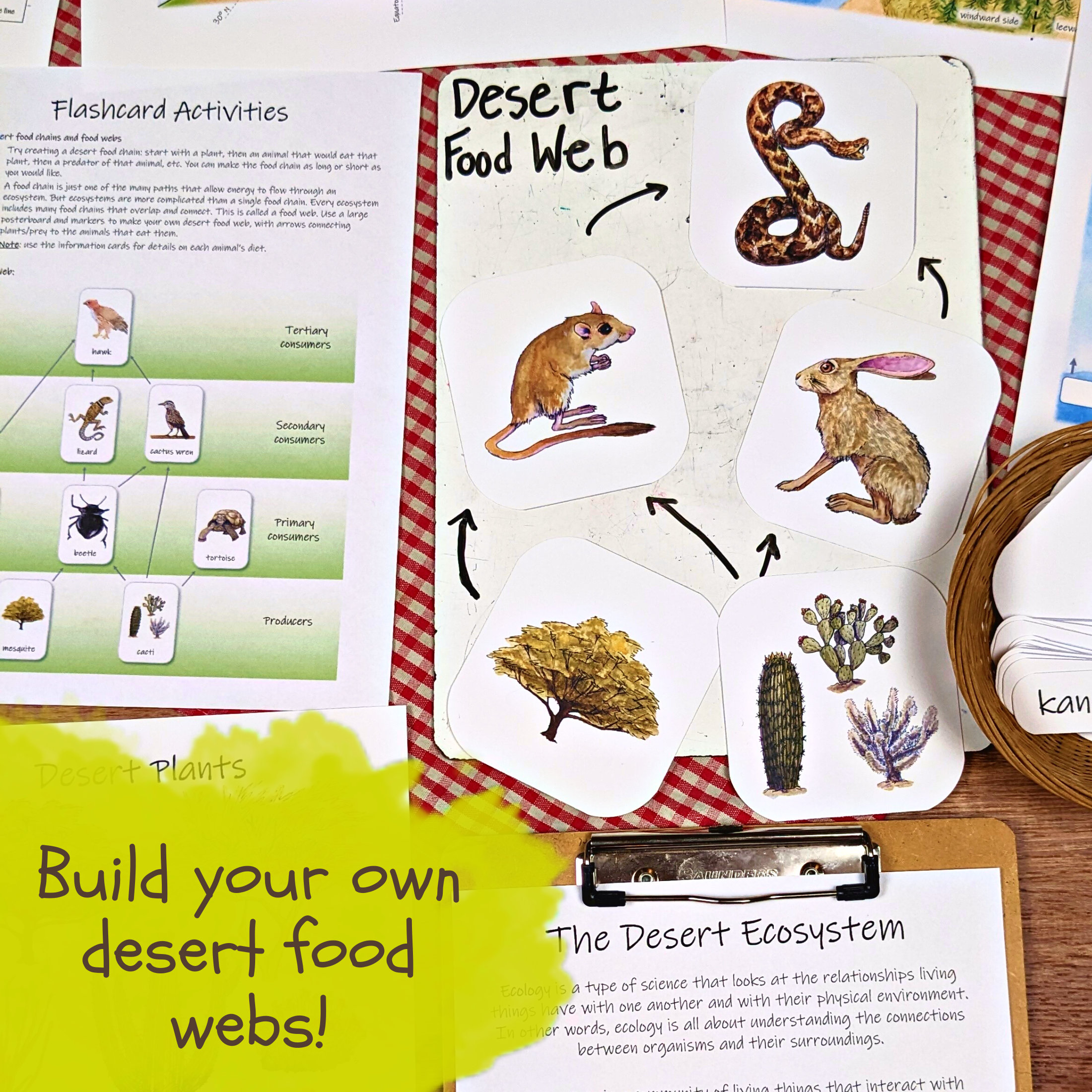 Desert Ecology Unit: Biome Study, Food Webs, Animal Adaptations (PDF ...