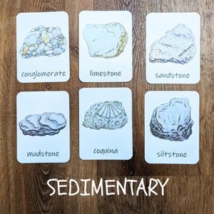 Rock ID Flashcards: Identify Common Igneous, Sedimentary, & Metamorphic ...