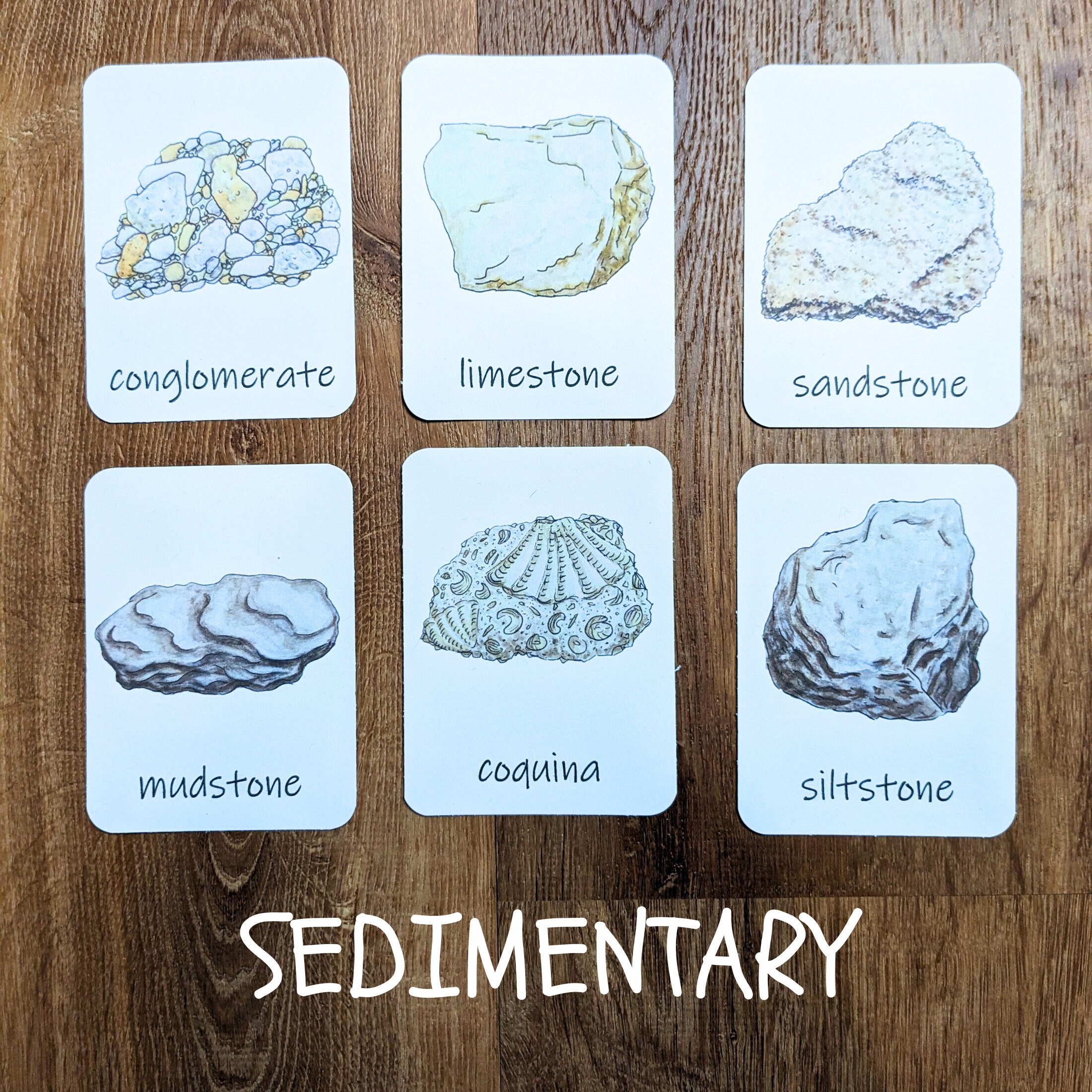 Rock ID Flashcards: Identify Common Igneous, Sedimentary, & Metamorphic ...