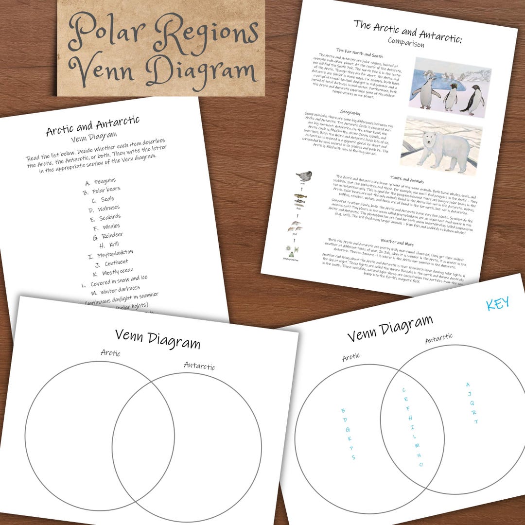 Arctic Vs Antarctic: Printable Venn Diagram Activity for Comparing ...