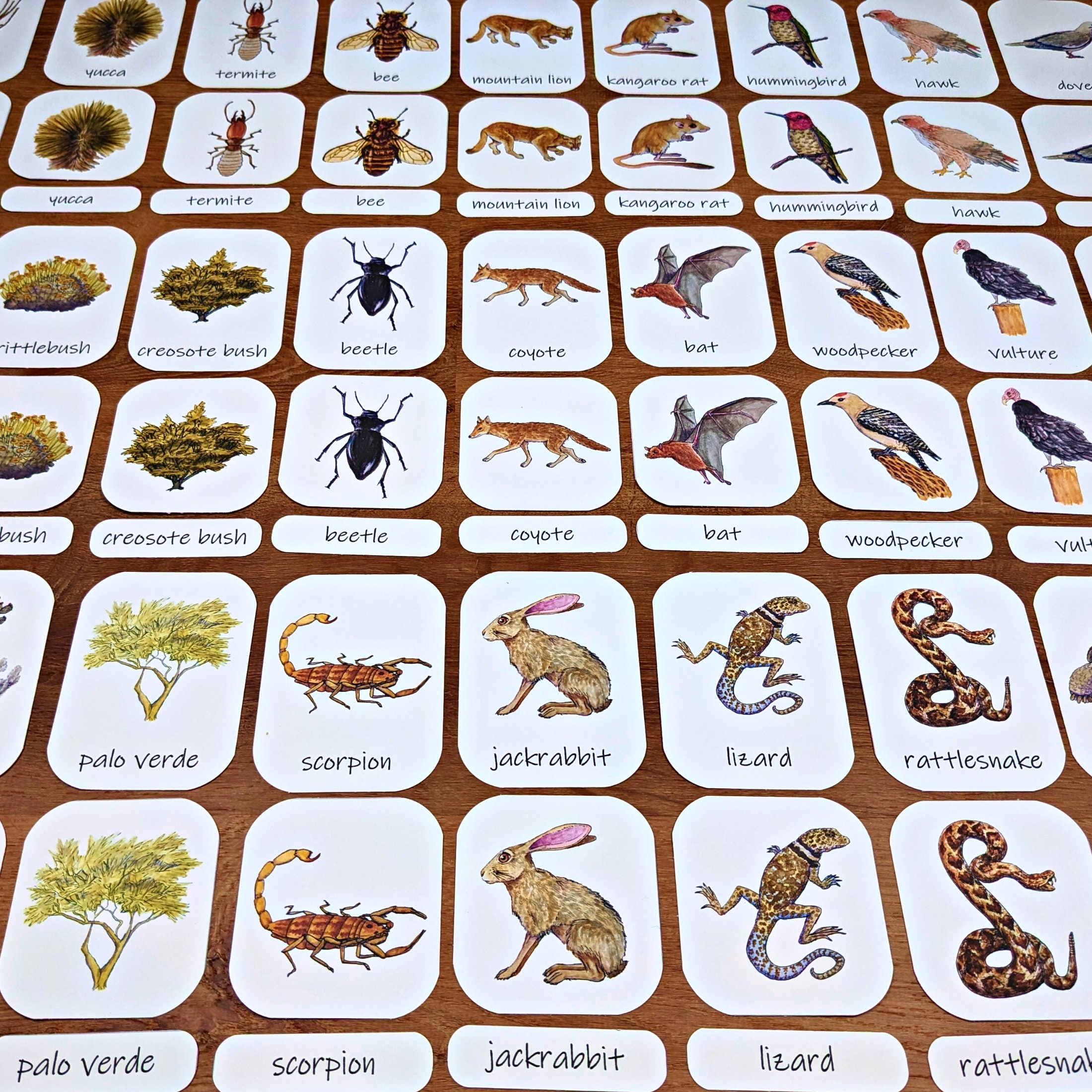 Desert Animals & Plants Mini Study: Wildlife of Deserts - Etsy