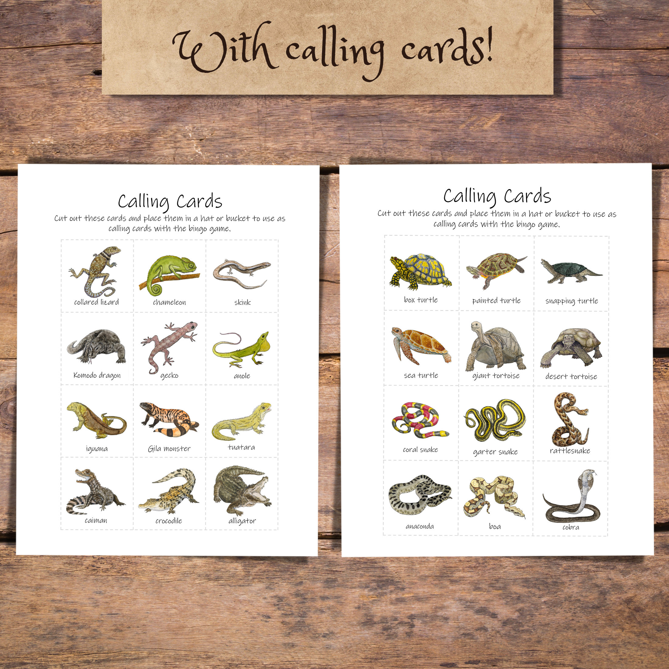 Reptile Bingo Set: 25 Unique Bingo Cards With Calling Cards Kids ...