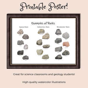 Common Rocks Classroom Poster: Igneous, Sedimentary, & Metamorphic ...