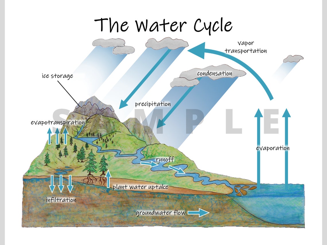 The Water Cycle Diagram: Printable Classroom Poster Earth - Etsy
